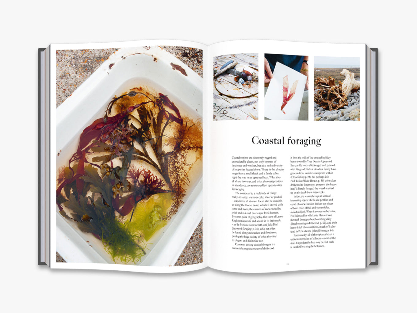 The Foraged Home Book – The Den & Now